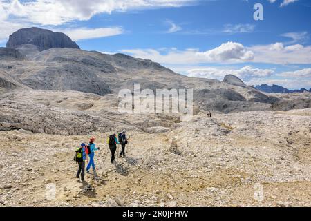 Several persons hiking on Pala plateau, Pala range, Dolomites, UNESCO ...