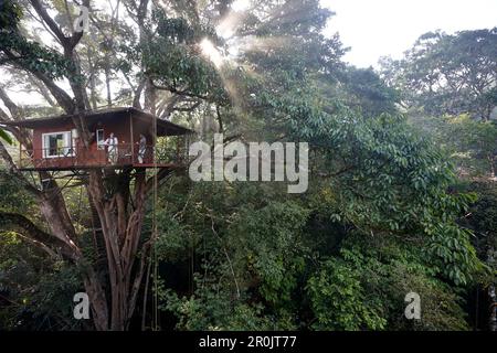 Treehouse Room 601, Treehouse 1 at Vythiri Resort near Lakkidi, Wayanad ...