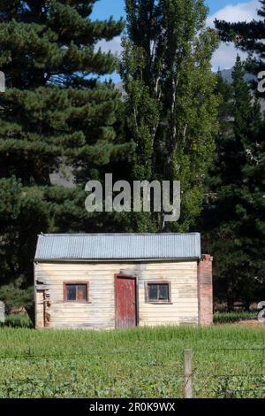 Middlemarch, Maniototo, Otago, South Island, New Zealand Stock Photo ...