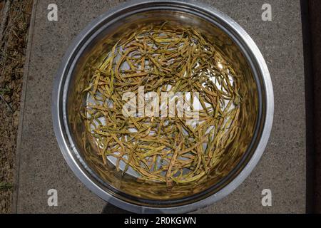 Sun dried Cluster beans vegetable mostly made and eaten in dry area ...