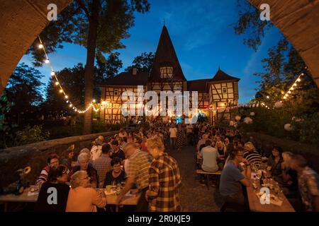 People enjoy Frankenwein Franconian wine at Weinfest am Rödelseer Tor ...