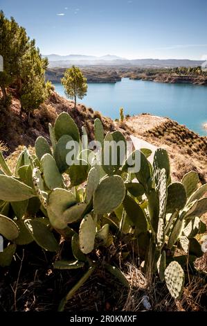 Embalse de Negratin reservoir lake in Sierra Nevada National Park ...