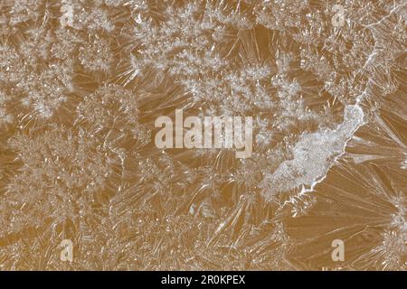 A thin layer of salt crystals forming on the surface of an evaporation ...