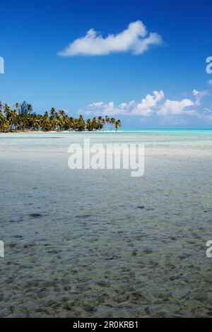 FRENCH POLYNESIA, Vahine Island. View of a boat at dusk Stock Photo - Alamy