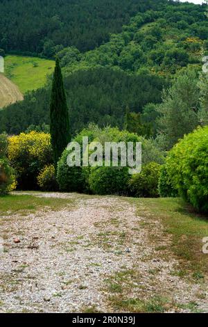 Umbria landscape,after the rain, Valle Tiberina valley, Italy, Europe ...