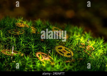 precision engineered toothed brass metal cog wheels on green moss Stock ...