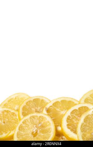 vertical overlapping lemon slices footer on white background with copy ...