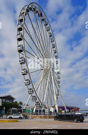Skyviews Miami Observation Wheel at Bayside Marketplace with ...
