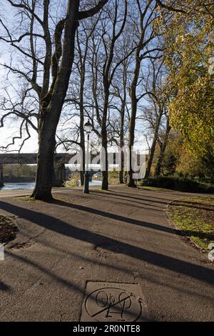 Trees and railway viaducts and the River Ribble at Miller Park Preston ...