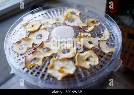 Drying Slices and Pieces of an Apple using a Dehydrator Stock Photo - Alamy