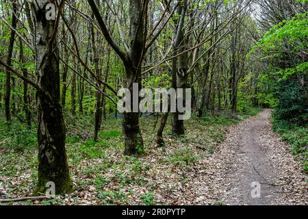 The village of Lyons-la-Foret is one of the most beautiful village of ...