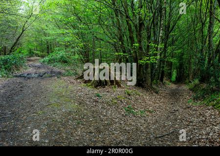 The village of Lyons-la-Foret is one of the most beautiful village of ...