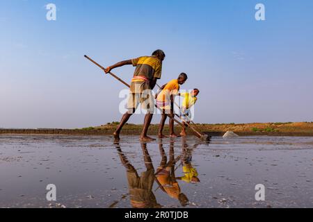 May 7, 2023, Contai, India: Salt production plant in West Bengal is one ...