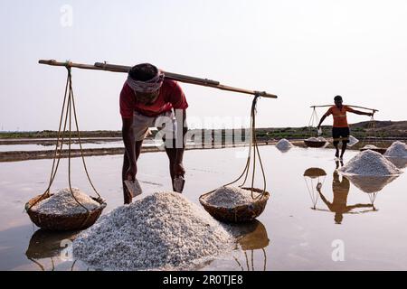 May 7, 2023, Contai, India: Salt production plant in West Bengal is one ...