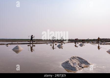 May 7, 2023, Contai, India: Salt production plant in West Bengal is one ...