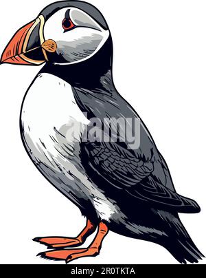Dodo Animal Colored Cartoon Illustration Stock Vector Image & Art - Alamy