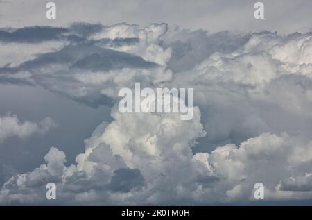 Dramatic white and grey cumulonimbus storm thunder clouds on a sunny ...