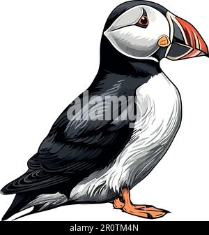 Dodo Animal Colored Cartoon Illustration Stock Vector Image & Art - Alamy