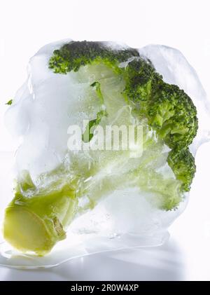 Broccoli in ice Stock Photo - Alamy