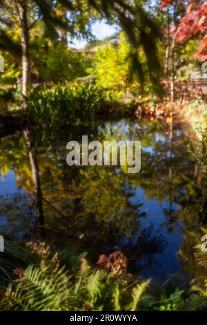 Pinhole Photography Woodland Series.New, Age-defying, digital age ...