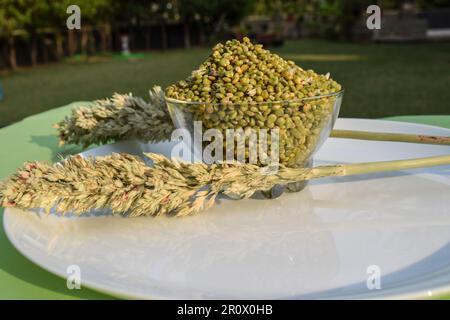 Ponk snack , green tender sorghum , roasted jowar , jwaarie , jawar ...