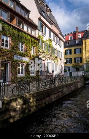 Canal, small river Gewerbekanal in the Old Town, Freiburg im Breisgau ...