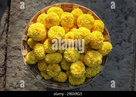 Fresh Marigold flowers bunch in wicker basket on outdoor background ...