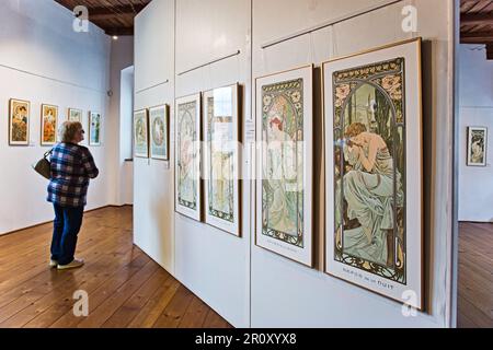 Ivancice, Czech Republic. 10th May, 2023. Exhibition on world of ...