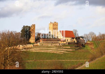 The beauiful Neipperg Castle in Neipperg, Baden-Württemberg, Germany ...