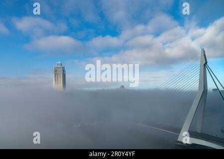 Rotterdam, The Netherlands-November 2022; View of the top of the modern ...