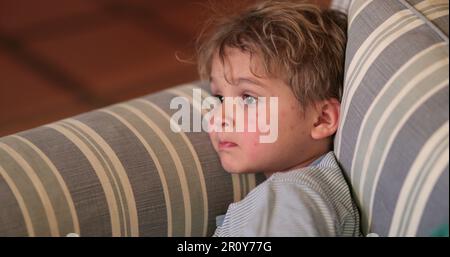 Candid little boy child hypnotized by TV screen at night on sofa Stock ...