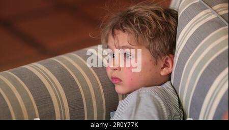 Candid little boy child hypnotized by TV screen at night on sofa Stock ...