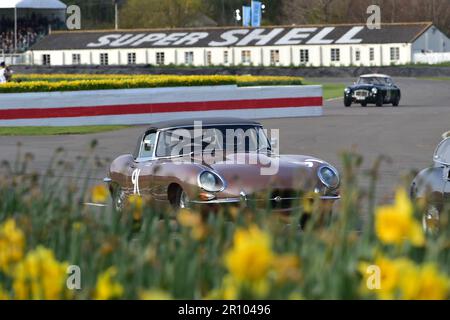 Sam Tordoff, Jaguar E-Type, Moss Trophy, a single driver, twenty minute ...