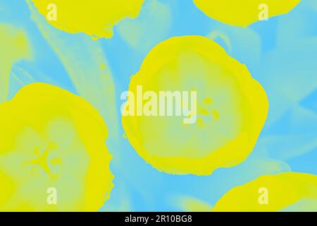 Yellow lemon color flowers tulips on a blue background 16 on 9 ...