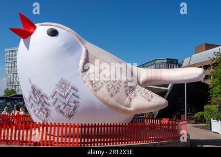 Soloveiko Songbird the national bird of Ukraine for Eurovision 2023 in ...
