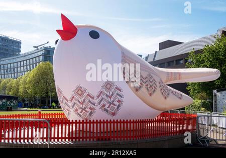 Soloveiko Songbird the national bird of Ukraine for Eurovision 2023 in ...