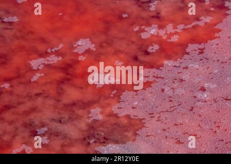 An evaporation pond at Sambhar Salt Lake, Rajasthan, India Stock Photo ...