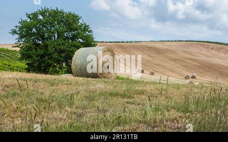 Haystack on a field in Tuscany Stock Photo - Alamy