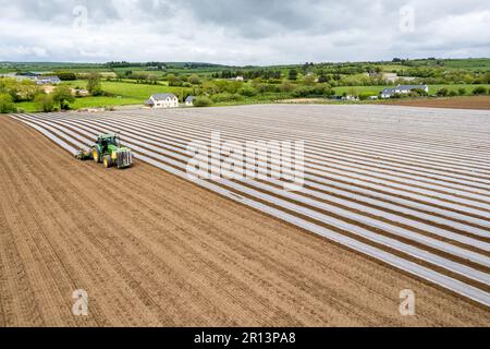 Burren, West Cork, Ireland. 11th May, 2023. Michael Keohane of Anthony ...