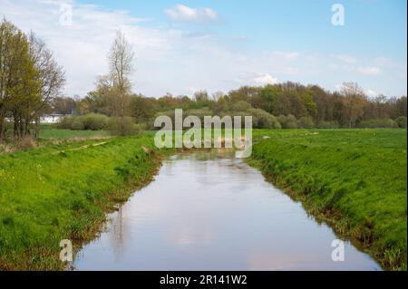 The Grote Nete river through green lawns around Westerlo, Antwerp ...