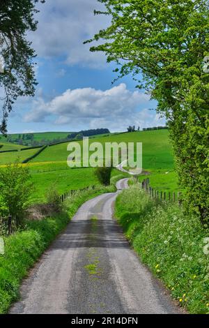 On the Shropshire Way and the Jack Mytton Way heading towards ...