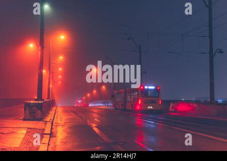 Traffic on a foggy wet bridge, a brightly lit bridge in foggy weather ...