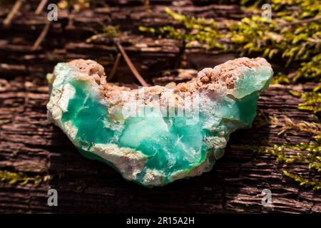 Sample of raw bright green chrysoprase lying on wood, Kazakhstan ...