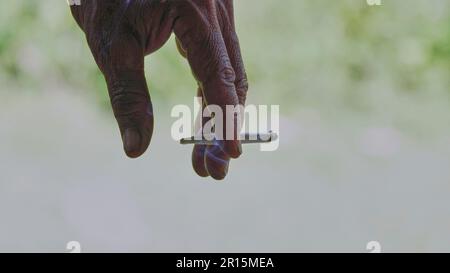 A hand holding a cigarette between the index and middle fingers Stock ...