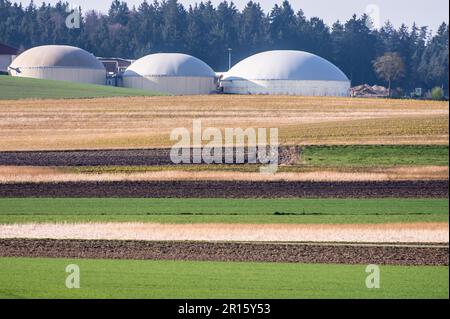Alternative energy production with a biogas facility Stock Photo - Alamy