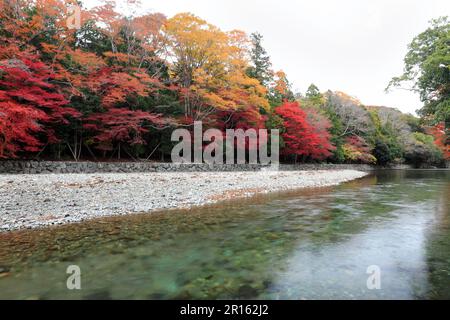 Isuzu river of Ise grand shrine during autumn Stock Photo - Alamy