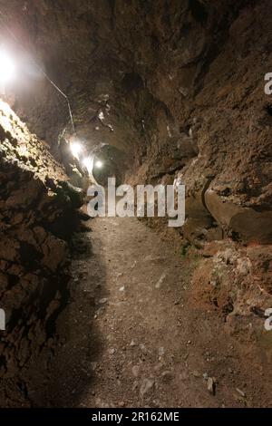Funatsu womb tree Stock Photo - Alamy