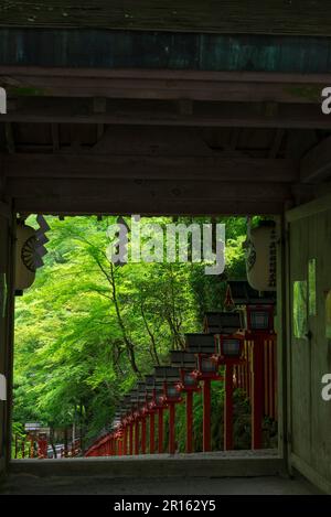 Kibune Shrine path with red painted lanterns Stock Photo - Alamy
