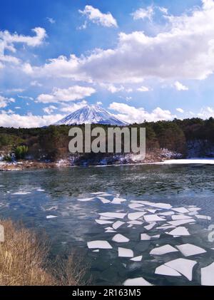 Mt. Fuji and ice on Lake Shoji-Ko Stock Photo - Alamy