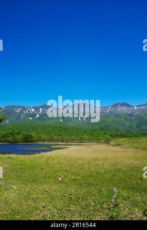June Lake Mountain Deer Landscape | Mono County | Eastern High Sierras ...